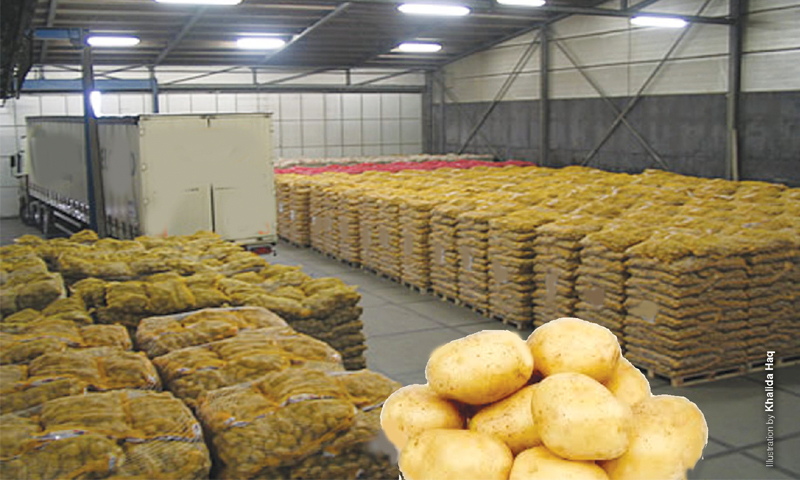 Dealing with hot potatoes - Newspaper - DAWN.COM