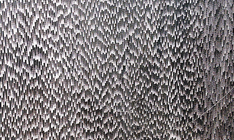 In the limelight - Pakistan - DAWN.COM