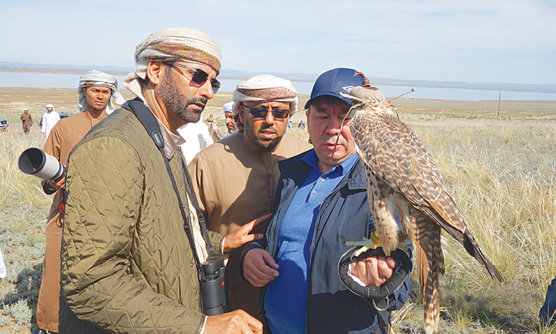 Conservation: Flying high - Pakistan - DAWN.COM