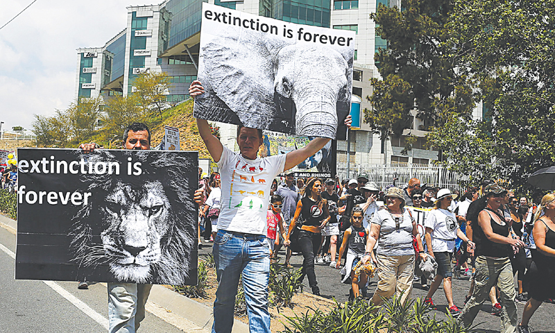 Thousands march in S. Africa for rhino, elephant protection - Newspaper ...