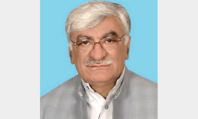 Kalabagh dam won’t be allowed whatever the cost: ANP - Pakistan - DAWN.COM