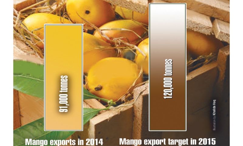 Improved marketing of mango exports - Business - DAWN.COM