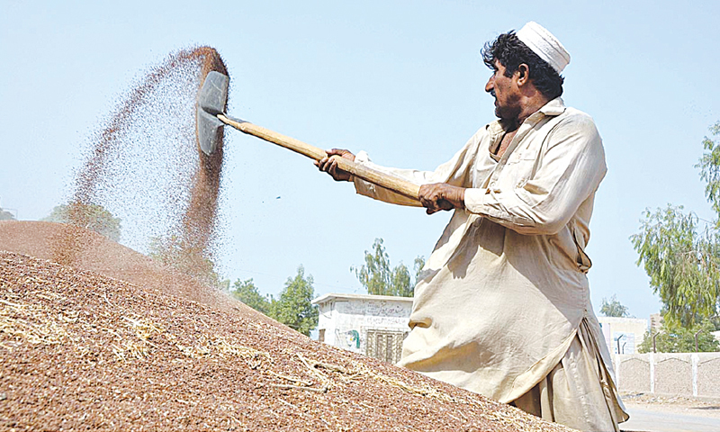 Lowering trade barriers essential to tackle poverty - Business - DAWN.COM