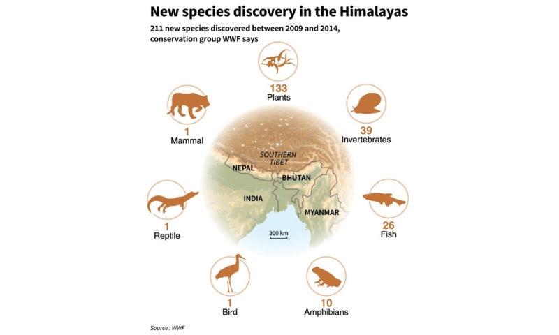 Over 200 new species found in Himalayas - Newspaper - DAWN.COM
