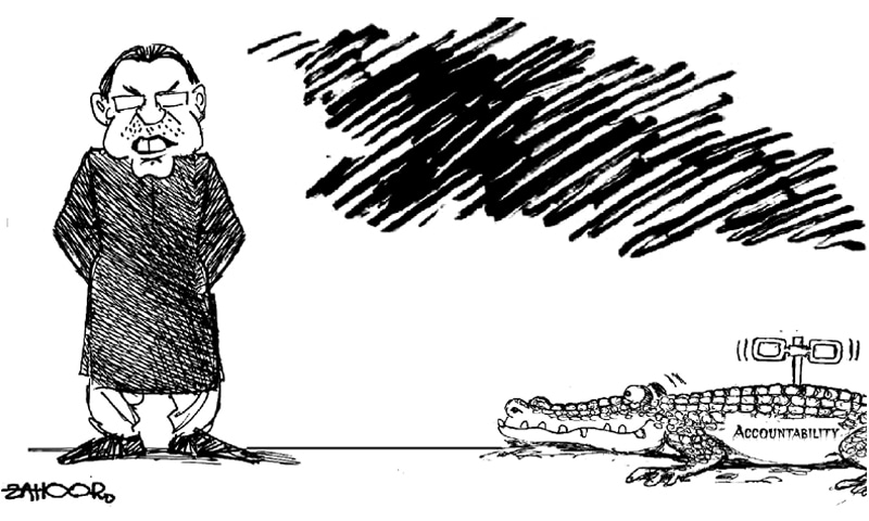 Pakistani Political Cartoons. | Page 7 | Pakistan Defence