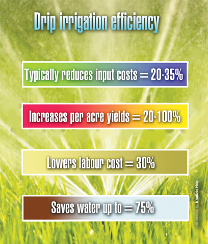 Barani land turning into a fruit basket - Business - DAWN.COM