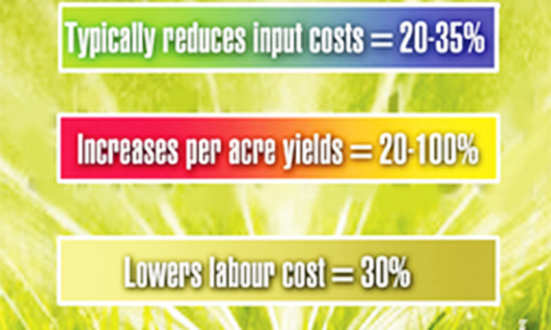 Barani land turning into a fruit basket - Business - DAWN.COM