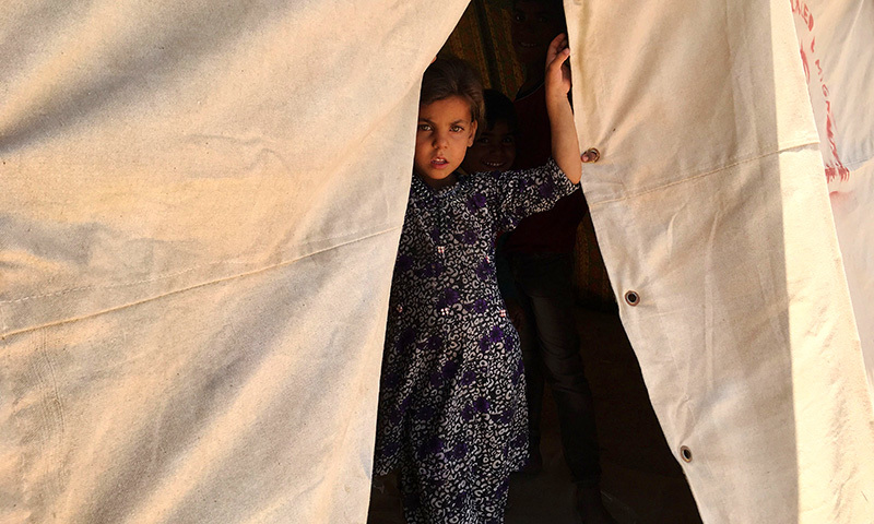 Iraq forces push into streets of IS-held Fallujah - World - DAWN.COM