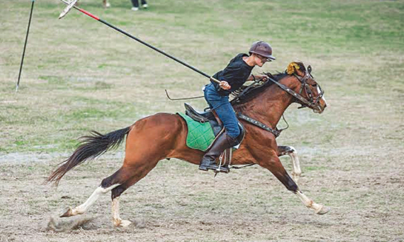 Young Pakistani horse rider excels in Australia - Newspaper - DAWN.COM