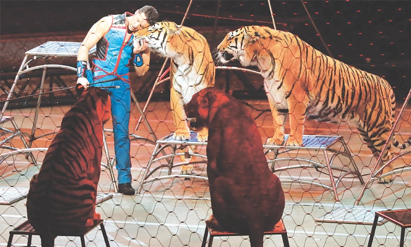 Last performance for ‘the greatest show on earth’ - Newspaper - DAWN.COM