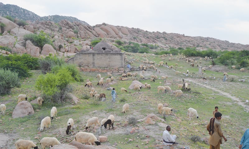 FOOTPRINTS: LAND OF WONDER - Newspaper - DAWN.COM