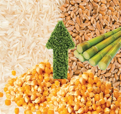 Sustaining production of key food crops - Newspaper - DAWN.COM