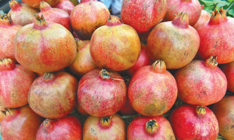 All the rubies you can eat - Newspaper - DAWN.COM