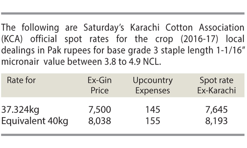 Cotton prices rise on strong demand - Newspaper - DAWN.COM