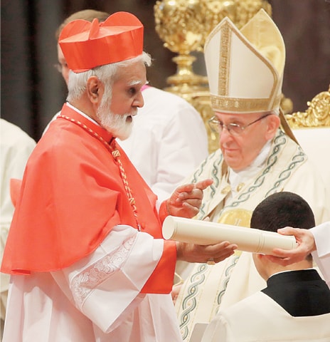Pope appoints 14 new cardinals - Newspaper - DAWN.COM