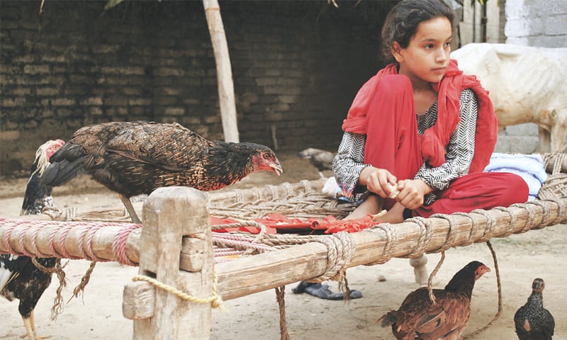 Pakistani girls strive for job skills despite social barriers ...