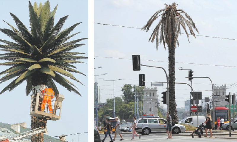Warsaw’s plastic palm tree ‘dies’ to mark climate threat - World - DAWN.COM