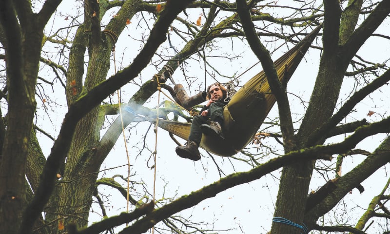Protesters climb trees to protect UK woodland from planned rail link ...