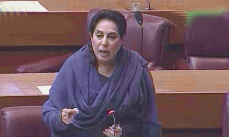 Lockdown was never a solution, says Fehmida Mirza - DAWN.COM