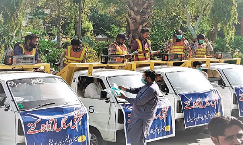 MC launches dogs culling campaign - Newspaper - DAWN.COM