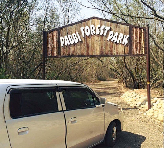 Rs150m plan to convert Pabbi forest into national park - Newspaper ...
