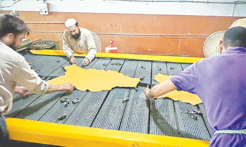 Tanneries see 20pc fall in number of hides collected during Eid ...
