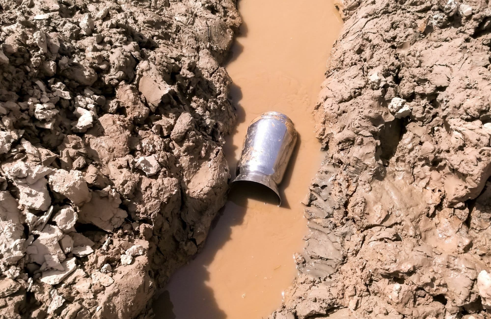 Bayer Pakistan and Tayaba Organisation join hands to address Pakistan's ...