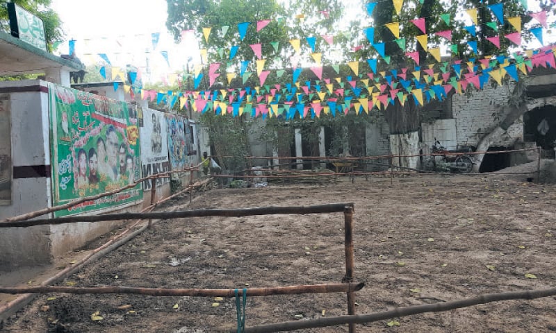 Sons of the soil – the pehlwans keeping tradition alive - Newspaper ...