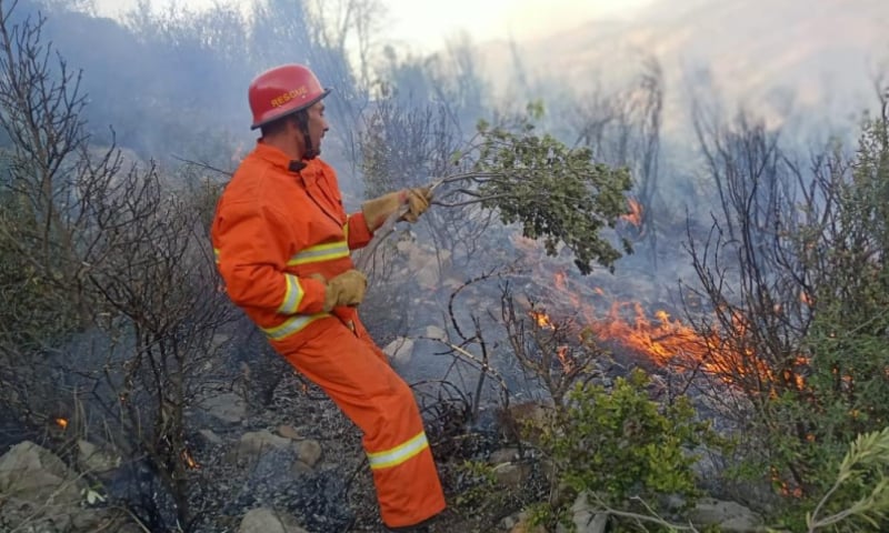 Fires doused in Bajaur, Swabi mountains - Pakistan - DAWN.COM