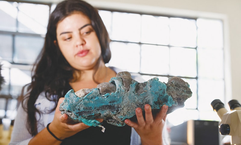 Brazilian researchers find ‘terrifying’ plastic rocks on remote island ...