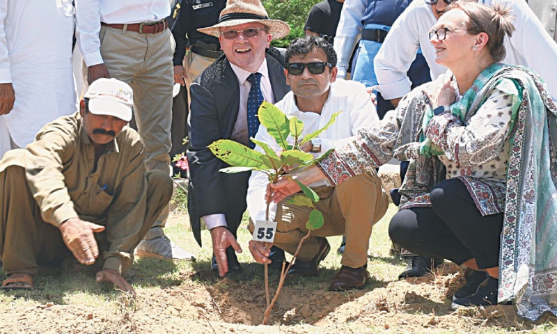 Commonwealth Corner inaugurated in Clifton park - Newspaper - DAWN.COM