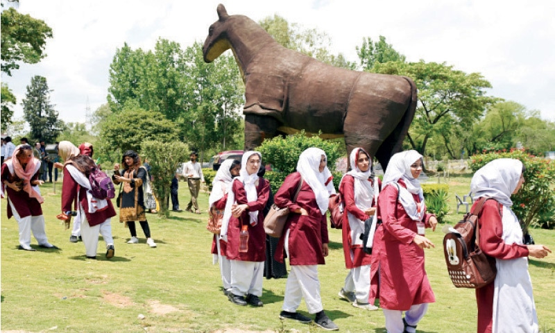 PMNH celebrates World Museum Day - Newspaper - DAWN.COM