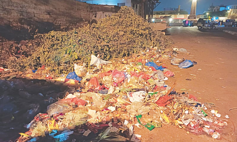Door-to-door garbage collection yet to begin in Karachi, minister told ...