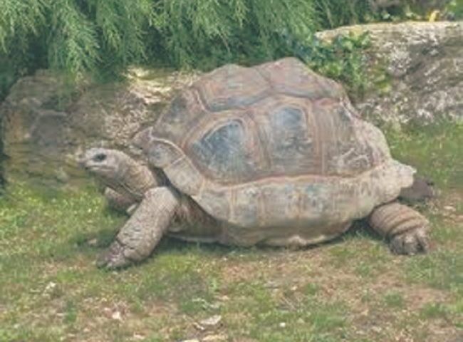 Facts - Newspaper - DAWN.COM