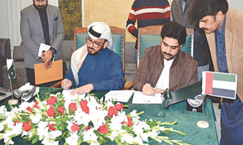 UAE envoy pledges to build major hospital in Sukkur - Newspaper - DAWN.COM
