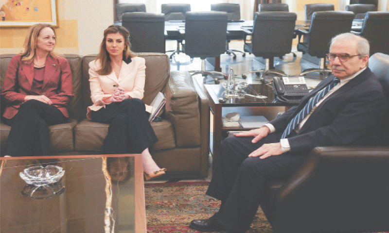 US envoy discusses situation in south with Lebanese govt - World - DAWN.COM