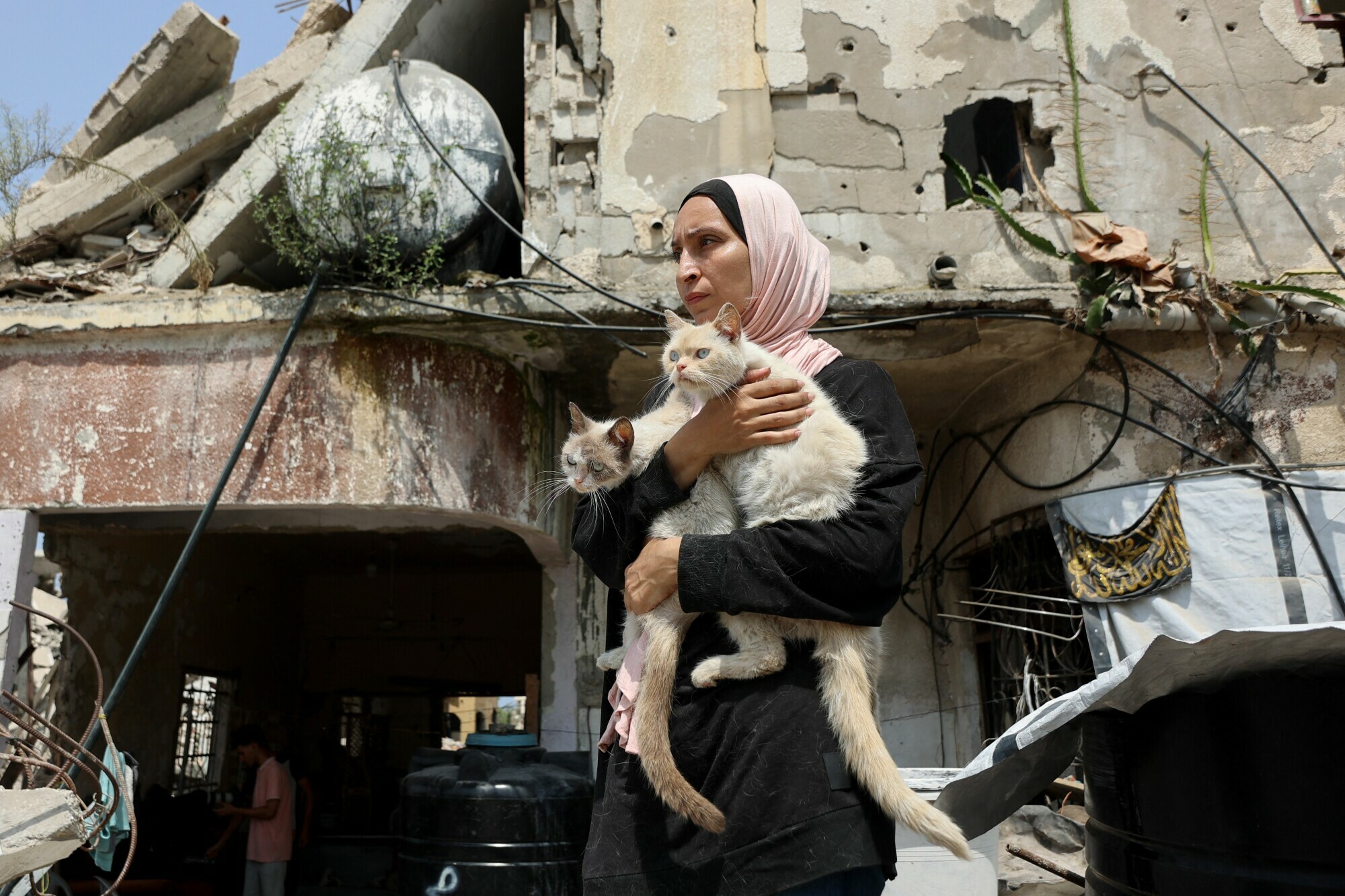 PHOTOS: Palestinian woman takes care of Gaza’s stray cats amid food ...