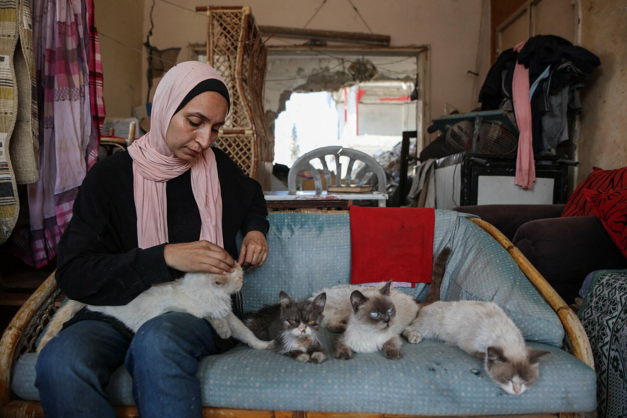 PHOTOS: Palestinian woman takes care of Gaza’s stray cats amid food ...