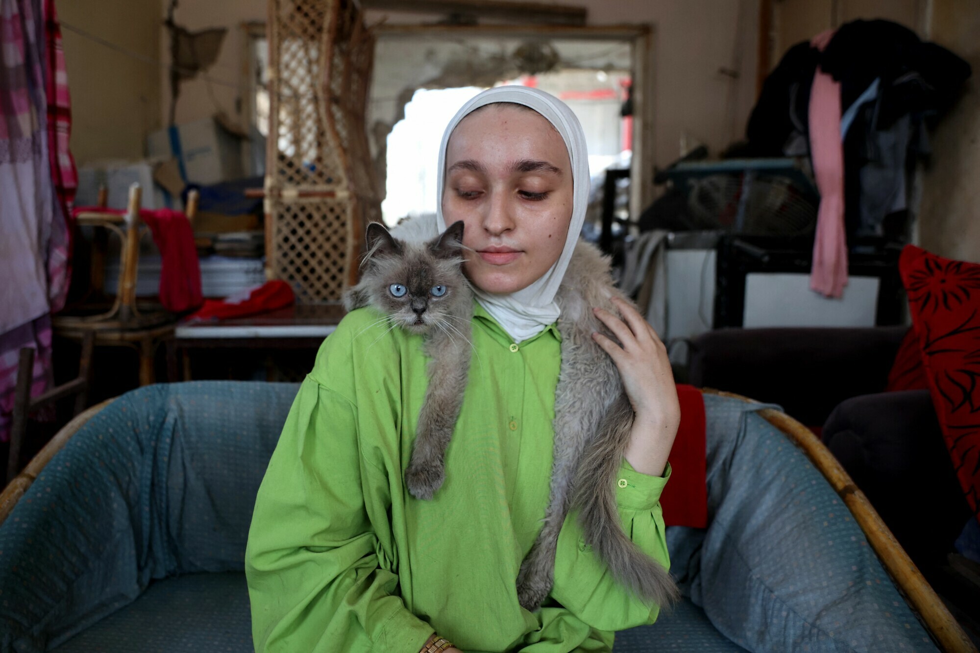 PHOTOS: Palestinian woman takes care of Gaza’s stray cats amid food ...