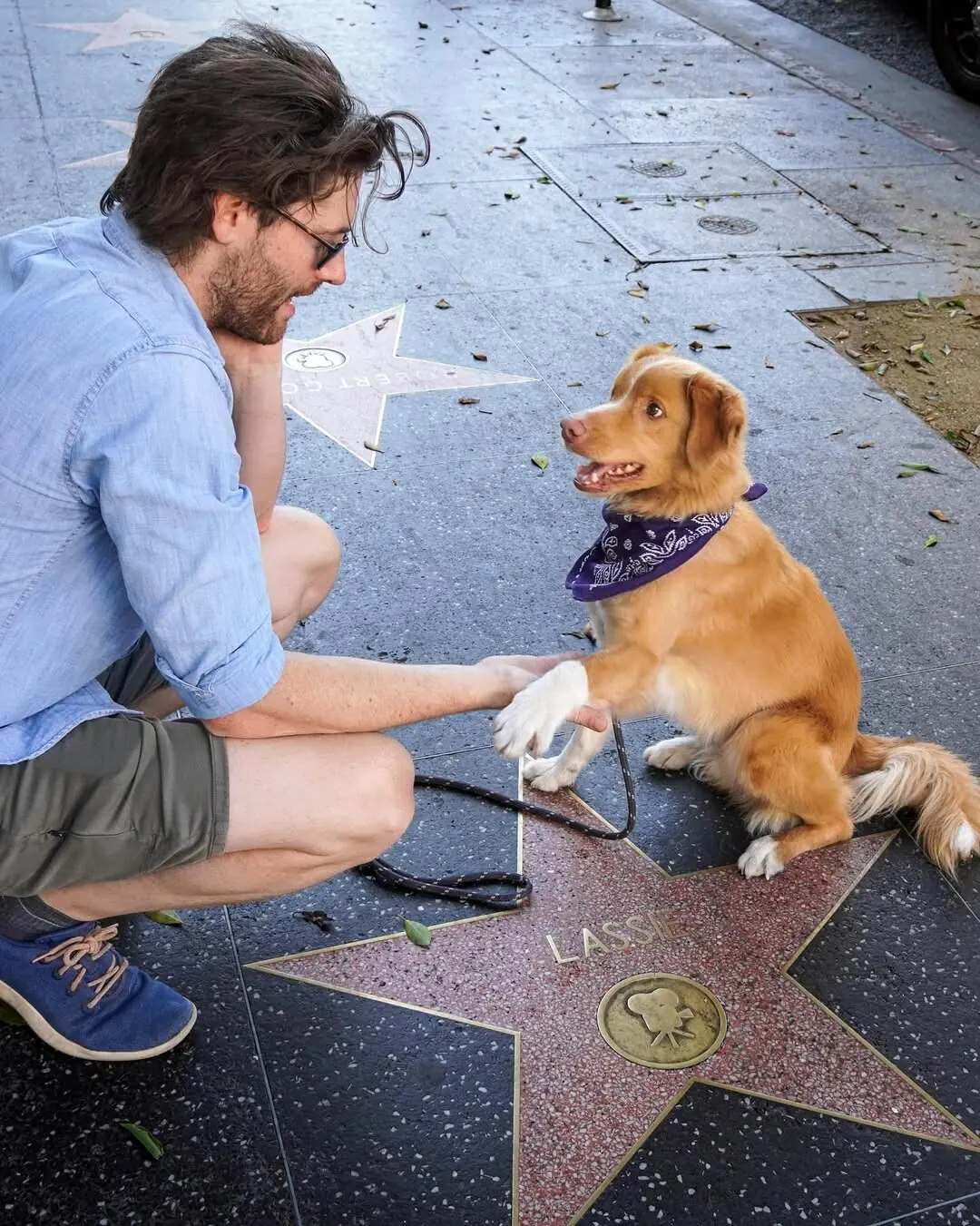 Indy, Good Boy’s canine star, wants the Academy Awards to throw him a ...