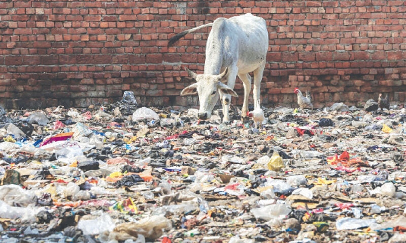 Experts begin work on UN climate report amid US pushback - Newspaper ...