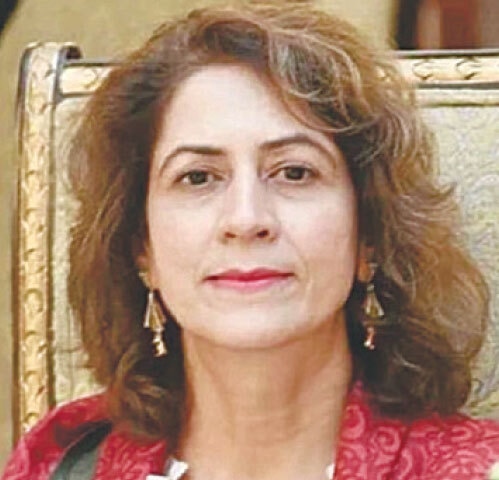 Ambreen Jan becomes first woman to head Pemra - Newspaper - DAWN.COM